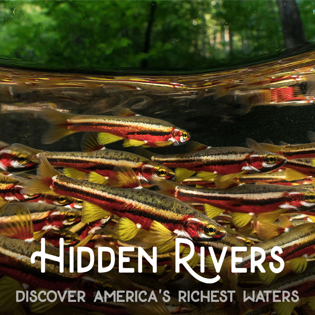 Hidden Rivers Film Screening – Student Water Symposium